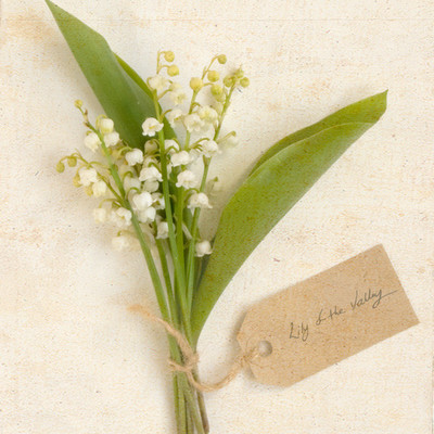 Most Popular Artists. Fine Art by Artist | King & McGaw