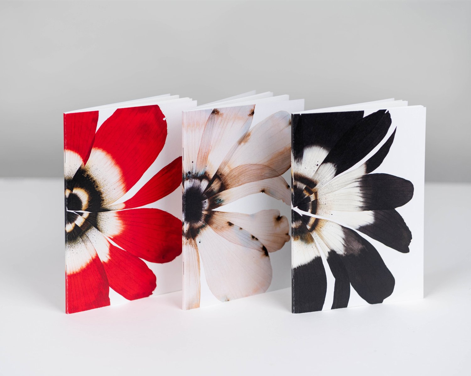 Stephen Doherty Art Prints | King & McGaw